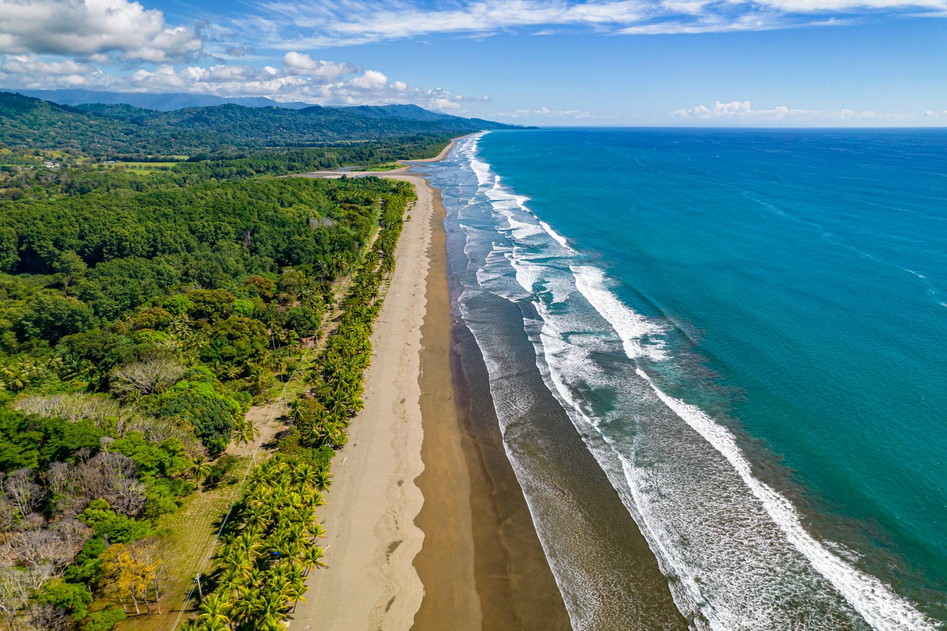 Beyond the shoreline: the relevance of the ocean to central banks - CETEx
